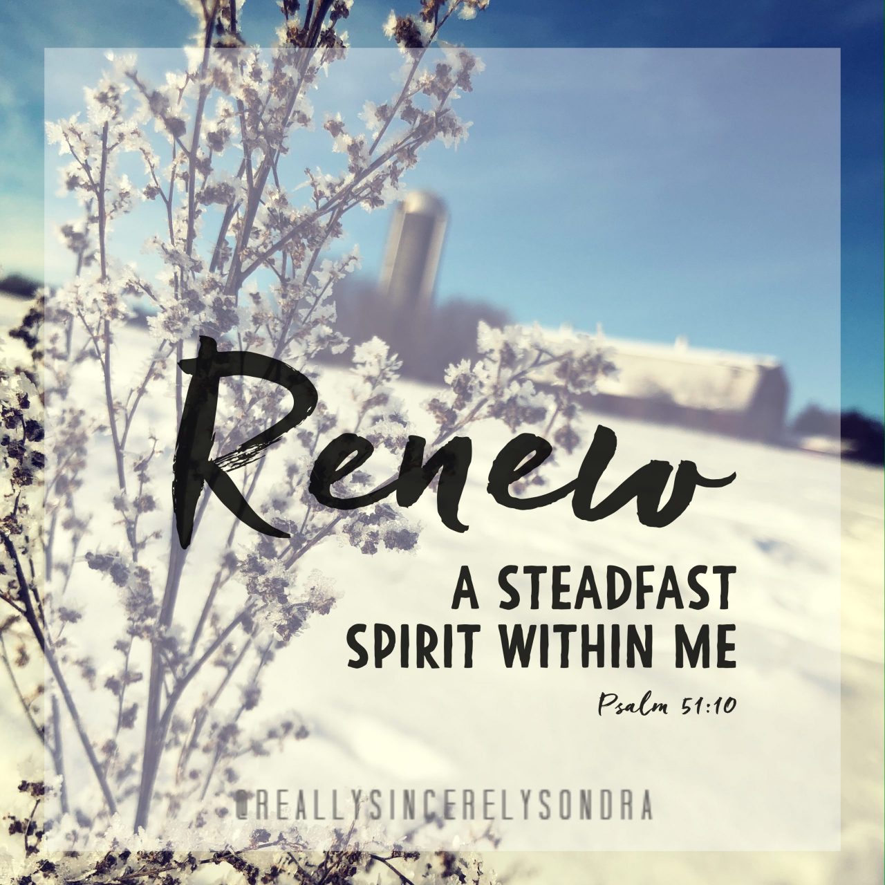 steadfast spirit | Sincerely, Sondra