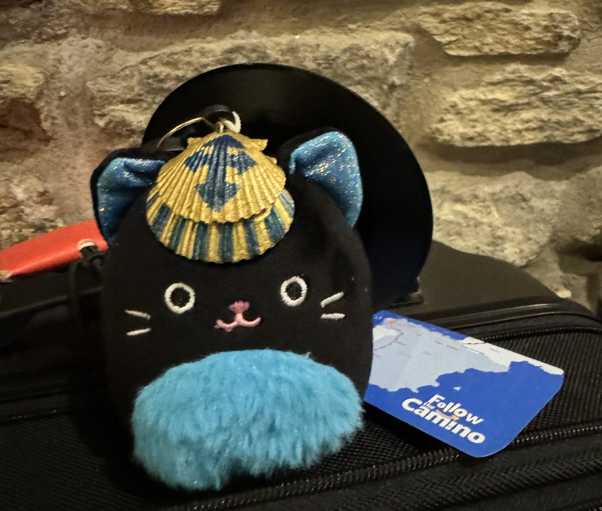 Sondra-Cat | Sincerely, Sondra